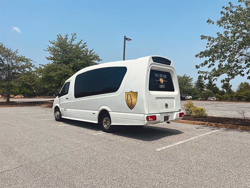 Best Mercedes-Benz Mauck 2 Executive Shuttle for Group